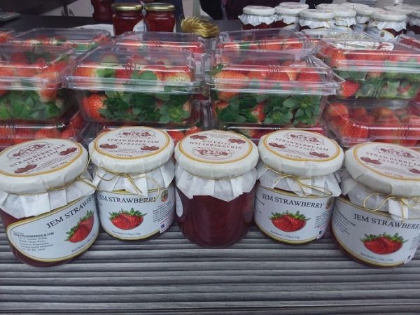 KHM Strawberries & Jam Tempat Wajib Singgah di Cameron Highland – Saji.my