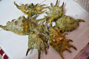 18 Makanan Tradisi Bajau (UNIK dan SEDAP) - Saji.my