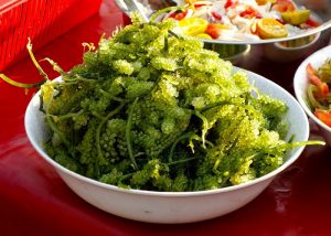 18 Makanan Tradisi Bajau (UNIK dan SEDAP) – Saji.my