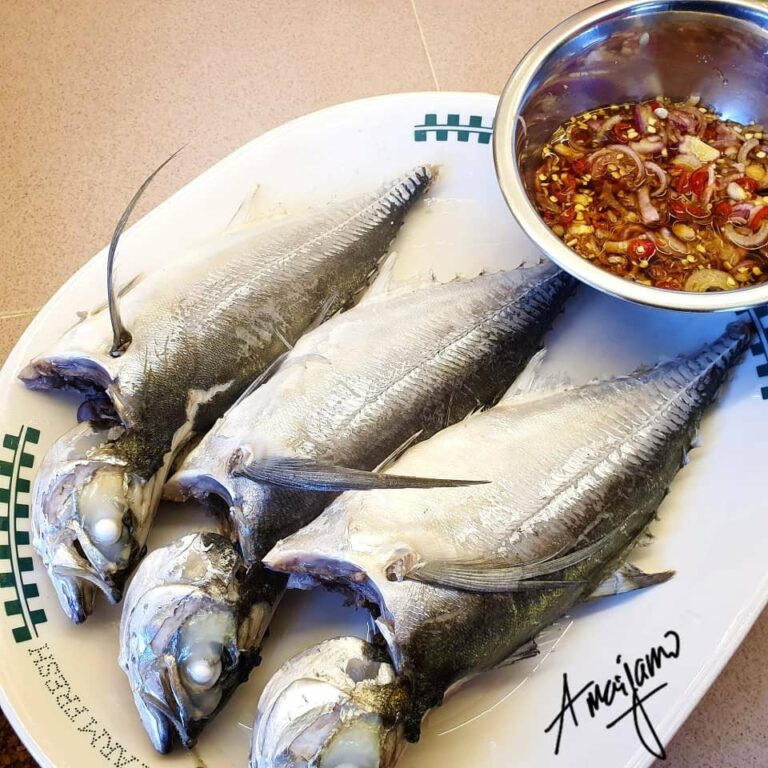 10 Resepi Ikan Cencaru Yang Wajib Anda Cuba – Saji.my