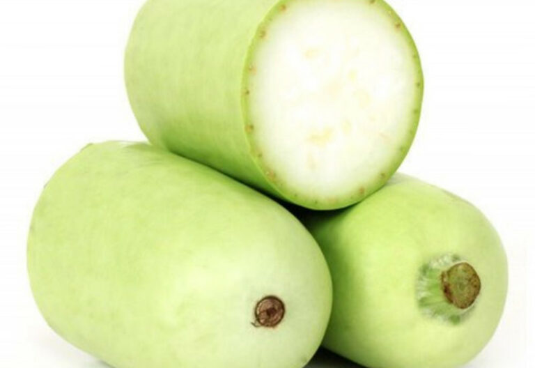 9 Jenis Labu Untuk Makan Dan Lain-Lain - Saji.my