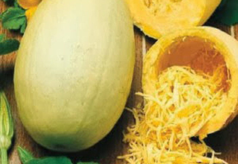 9 Jenis Labu Untuk Makan Dan Lain-Lain - Saji.my