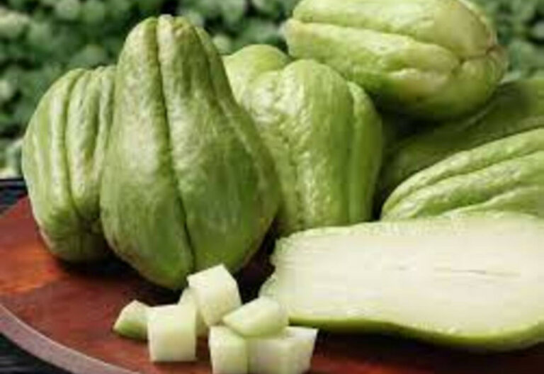 9 Jenis Labu Untuk Makan Dan Lain-Lain - Saji.my