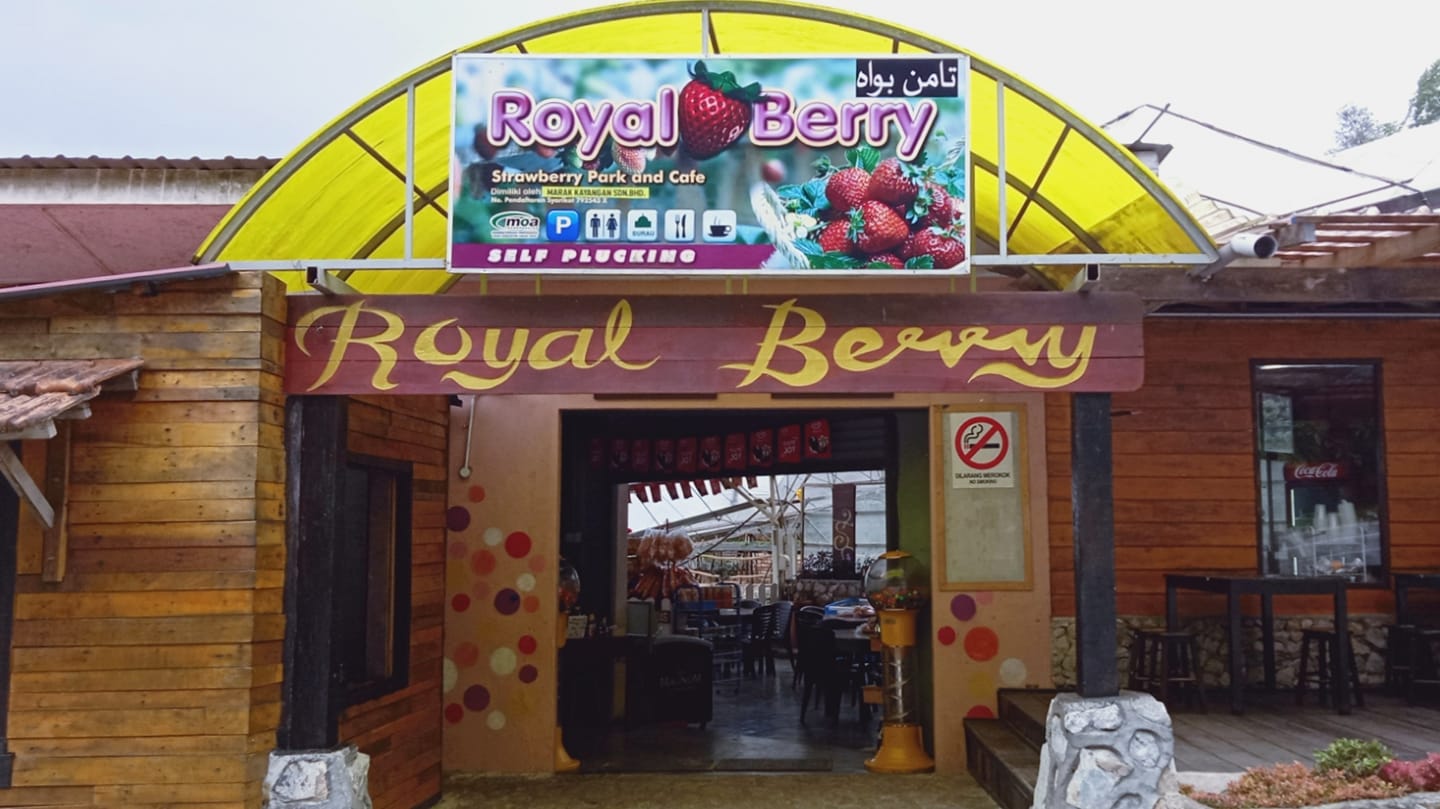 10 Farm Strawberry Cameron Highland Kena Try – Saji.my