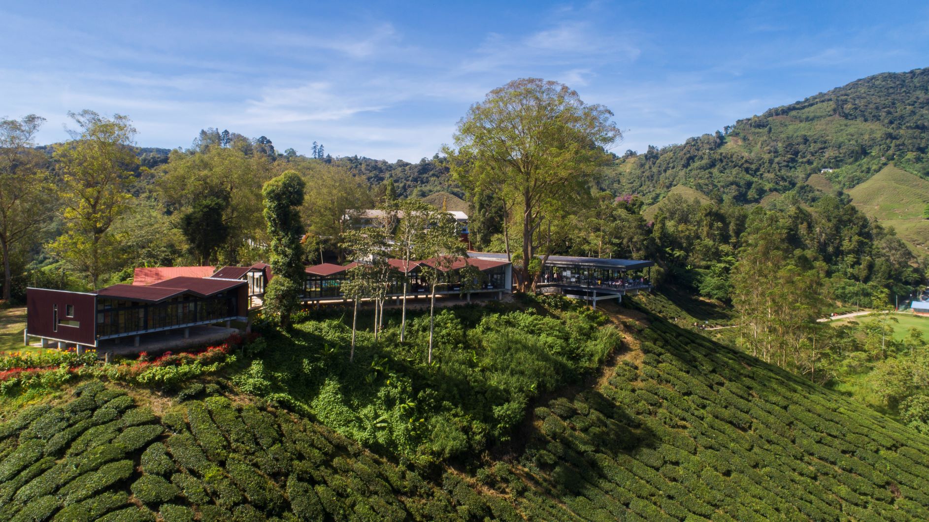 20 Tempat Makan Di Cameron Highland Wajib Singgah – Saji.my