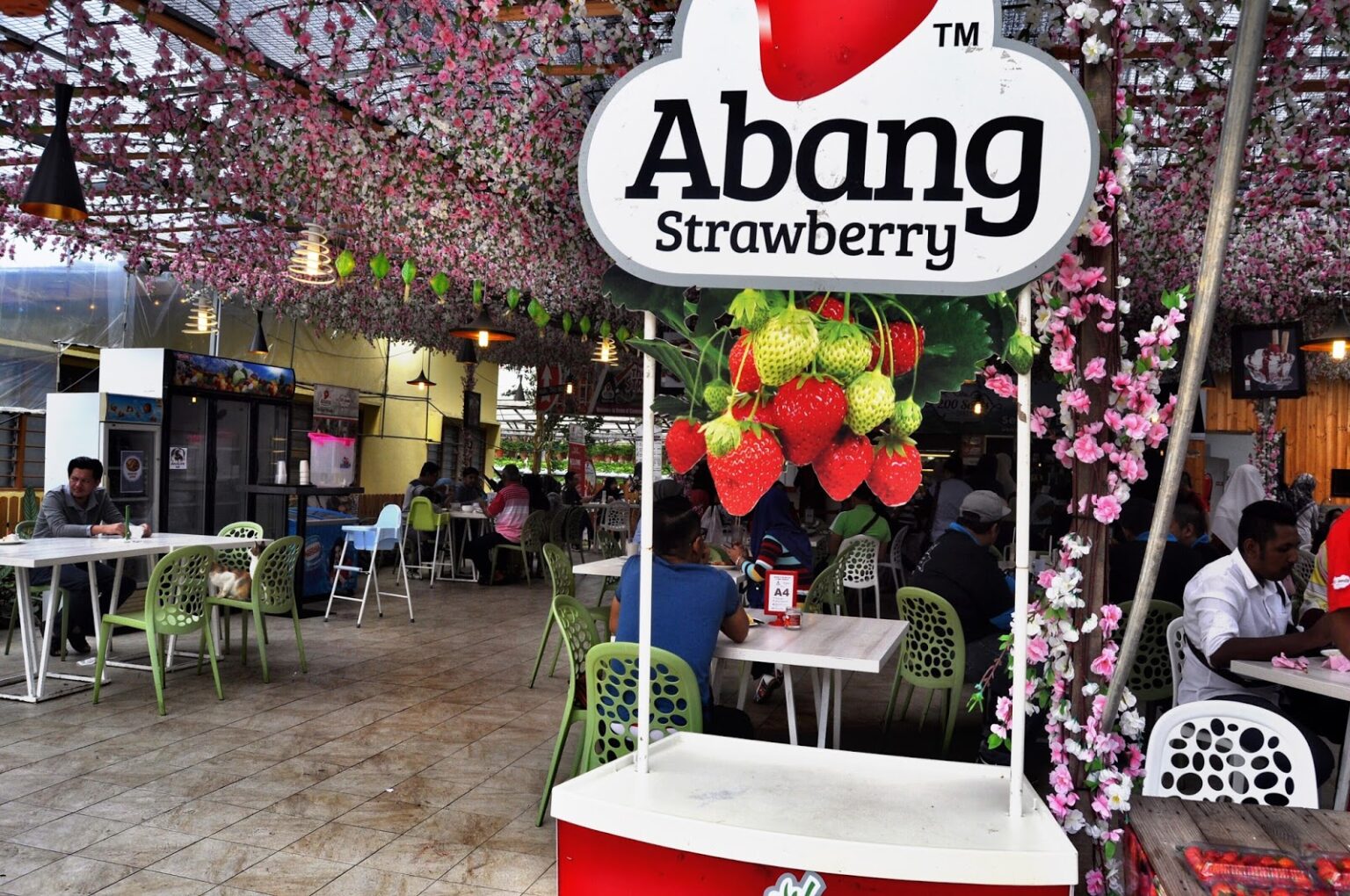 Restoran Abang Strawberry [VIRAL] Cameron Highland – Saji.my